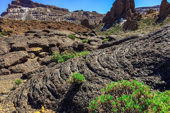 Tenerife South Private Tour: Secrets of the Volcanoes - Authentic Traveler Insights