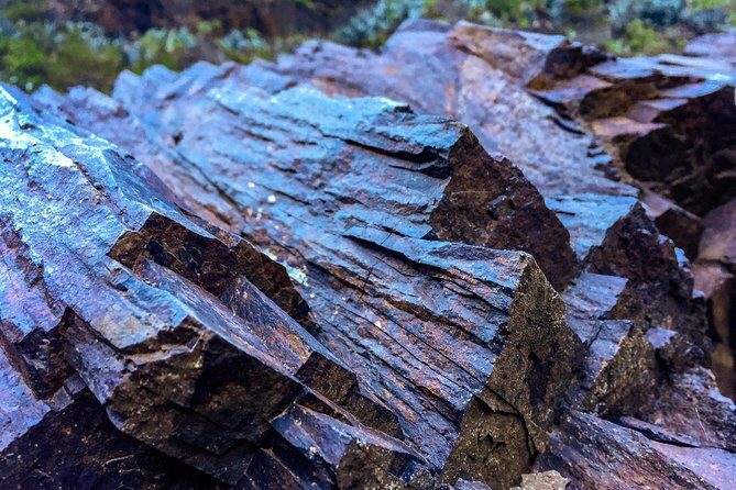 Tenerife South Private Tour: Secrets of the Volcanoes - FAQ