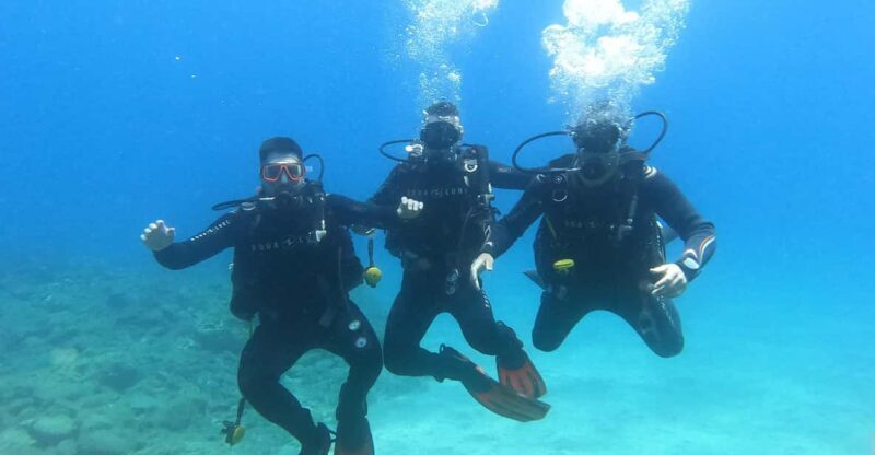 Tenerife south: Scuba Dive for beginners in Adeje - The Experience: A Close Look at What’s Included