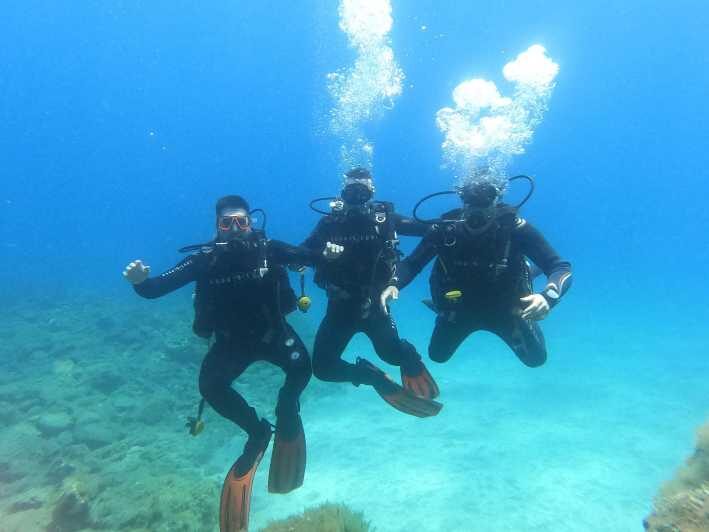 Tenerife south: Scuba Dive for beginners in Adeje - What’s the True Value?