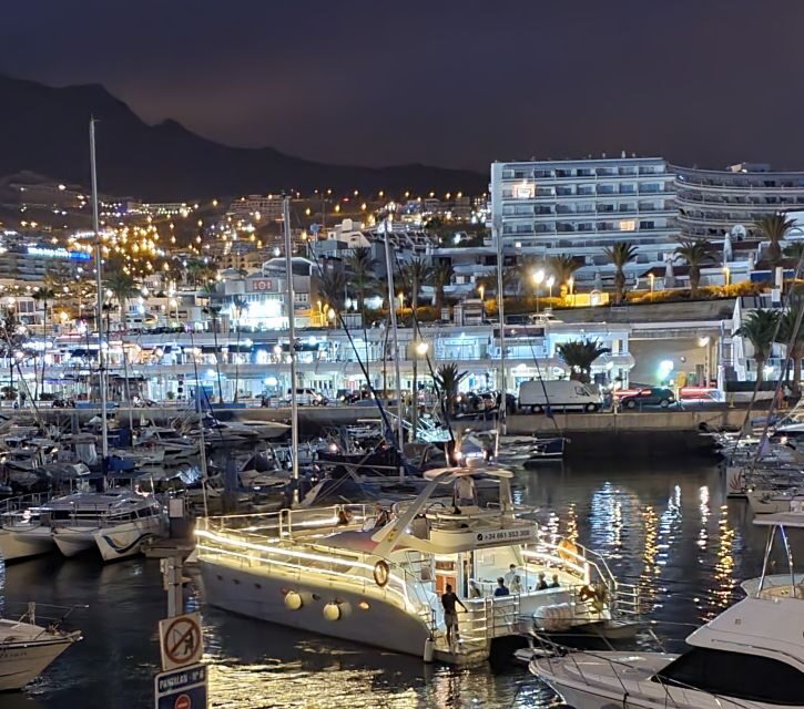 Tenerife: Sunset Catamaran Tour with Transfer, Buff & Drinks - Who Should Consider This Tour?