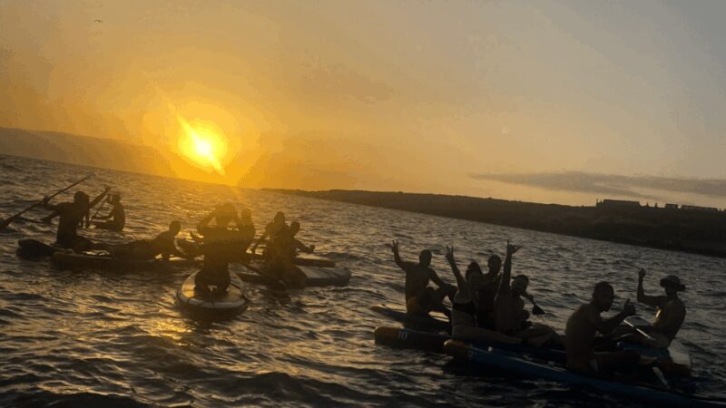 Tenerife: Sunset Stand-Up Paddleboarding Tour - Key Points