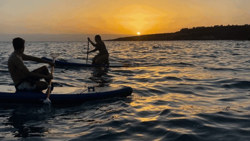 Tenerife: Sunset Stand-Up Paddleboarding Tour - Who It’s Perfect For