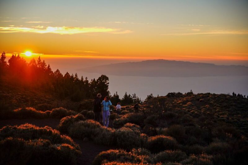 Tenerife: Sunset Volcano Teide Buggy Tour - Analyzing the Value
