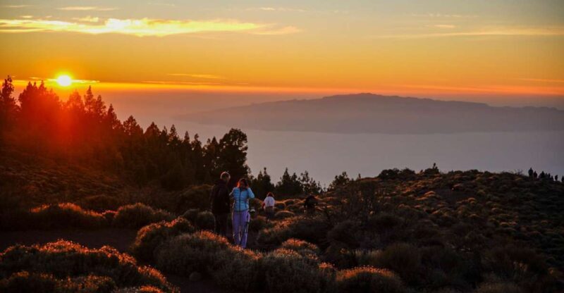 Tenerife: Sunset Volcano Teide Buggy Tour - Final Thoughts: Who Should Consider This Tour?
