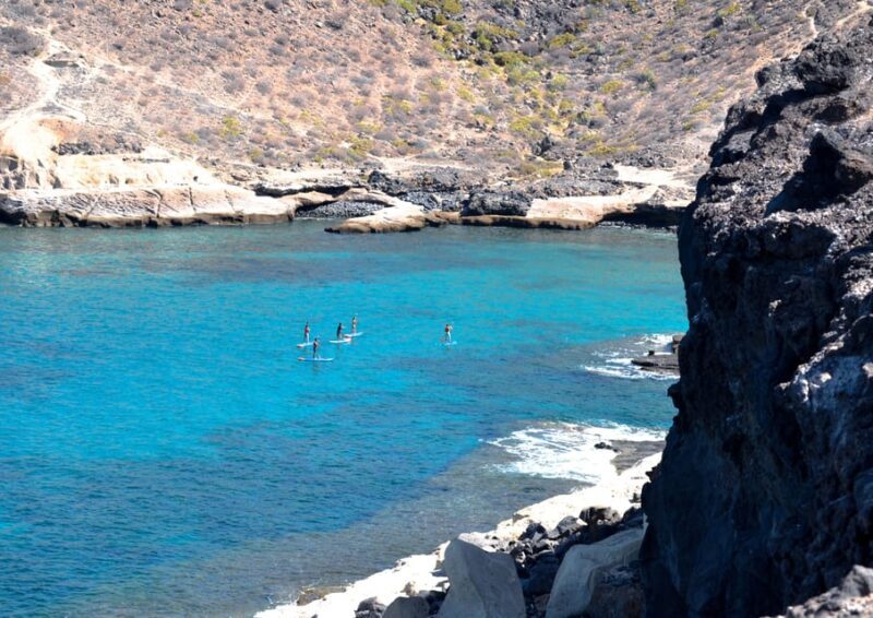 TENERIFE SUR: Paddleboarding tour and SNORKEL - A Closer Look at the Tenerife Sur Paddleboarding and Snorkel Tour