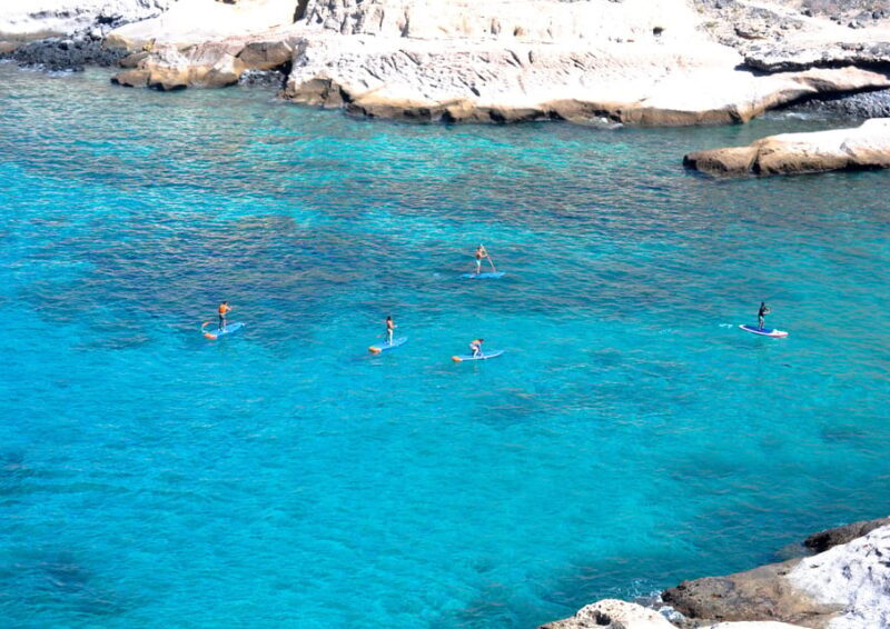 TENERIFE SUR: Paddleboarding tour and SNORKEL - The Sum Up