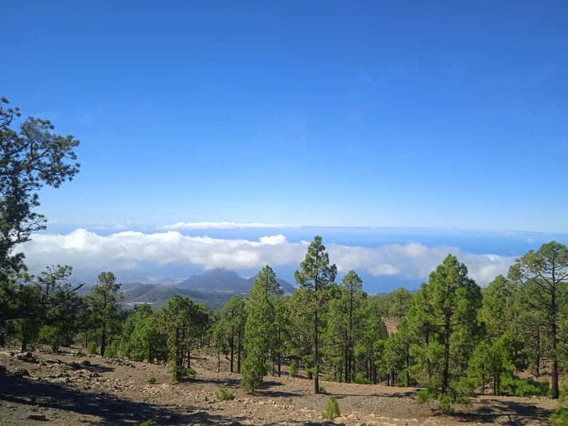 Tenerife: Teide, Icod de los Vinos & Garachico Full Day Tour - Who Should Consider This Tour?