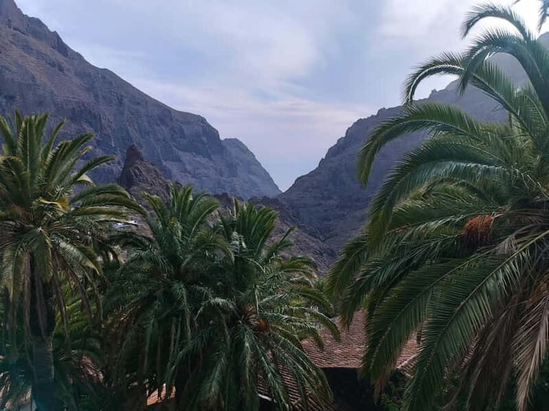 Tenerife: Teide, Masca, Garachico, and Sunset Exclusive Tour - Who Is This Tour Best For?