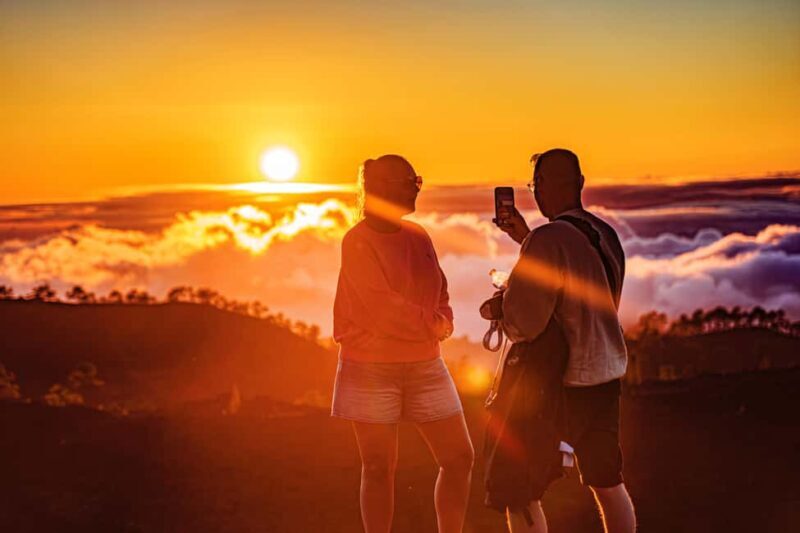 Tenerife: Teide Mountain On-Road Guided Quad Tour with drink - Practical Tips for Making the Most of the Tour