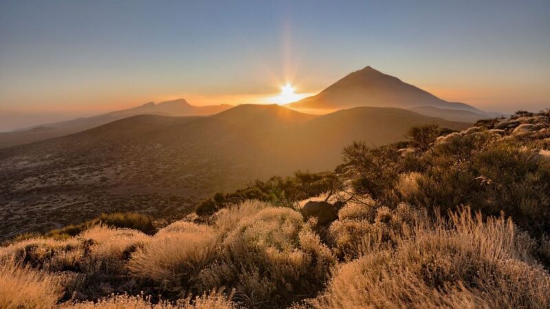 Tenerife: Teide National Park and Dolphins Sailboat Tour - Practicalities and Value