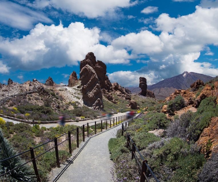 Tenerife: Teide National Park and Dolphins Sailboat Tour - Frequently Asked Questions