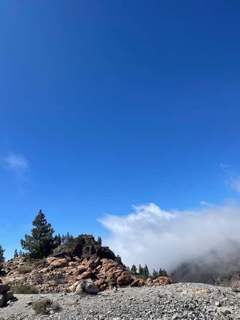 Tenerife: Teide National Park Excursion Teide Tours in a VIP 4x4 Jeep - Key Points