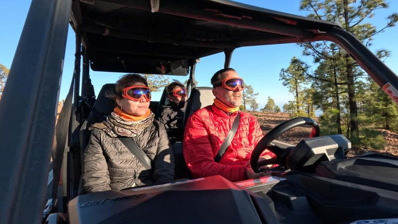Tenerife: Teide National Park Guided Buggy Tour - Who Will Appreciate This Tour?