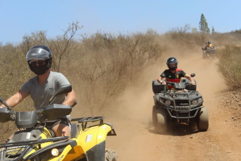 Tenerife: Teide National Park Quad Bike Tour - The Quad Bike Experience