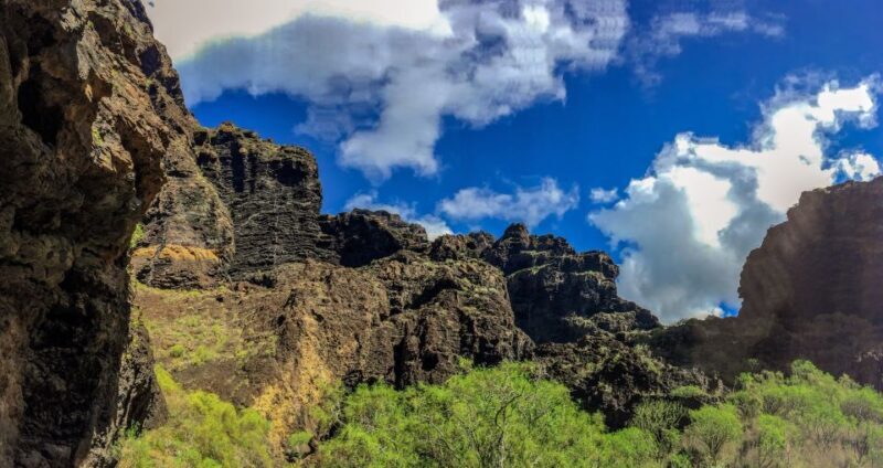 Tenerife: Teide National Park & Teno Rural Park Private Tour - Exploring Tenerife’s Volcanic Wonders
