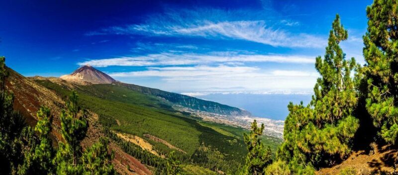 Tenerife: Teide National Park & Teno Rural Park Private Tour - Logistics and Practicalities