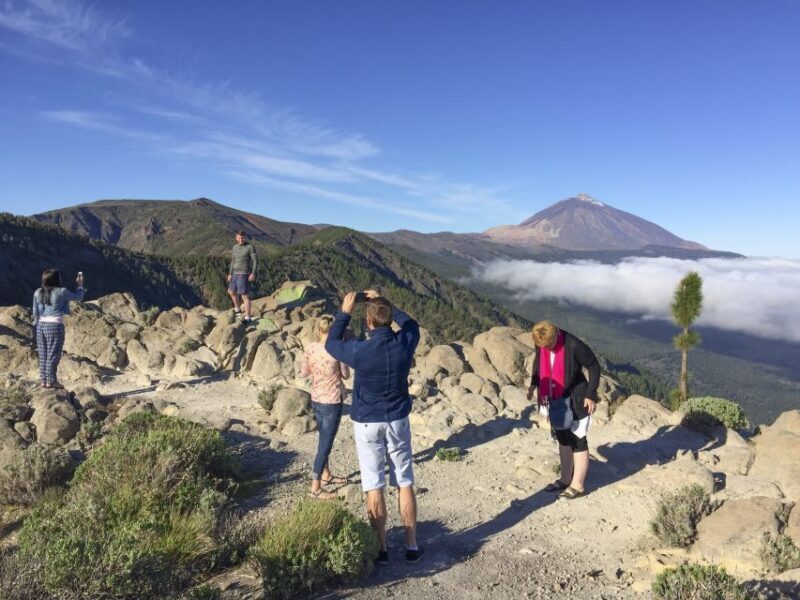 Tenerife: Teide National Park & Teno Rural Park Private Tour - Who Should Book This Tour?