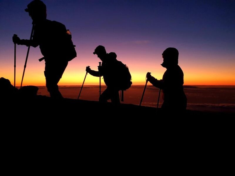 Tenerife: Teide Peak Hiking 3715m - The Value of This Experience