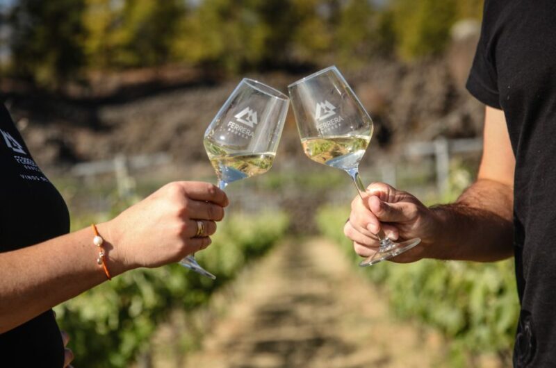 Tenerife: Tour of an Organic Vineyard with Tasting & Snacks - FAQ