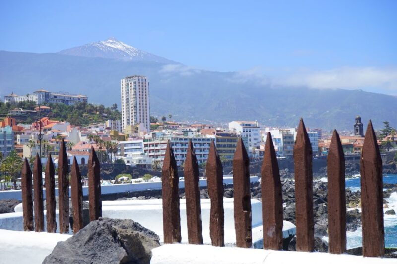 Tenerife: Trip to Puerto de la Cruz - An Authentic Look at Puerto de la Cruz
