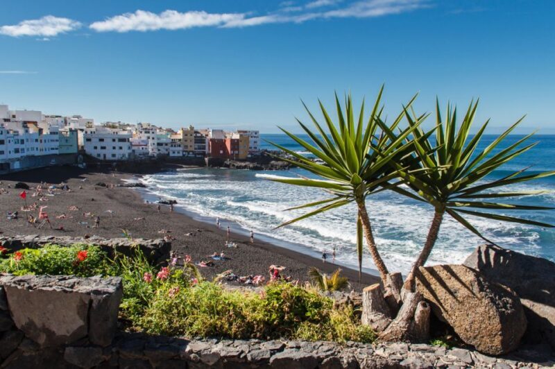 Tenerife: Trip to Puerto de la Cruz - Cost versus Value
