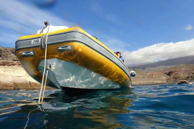 Tenerife Turtle and Snorkel Tour from Costa Adeje - Why Choose This Tour?