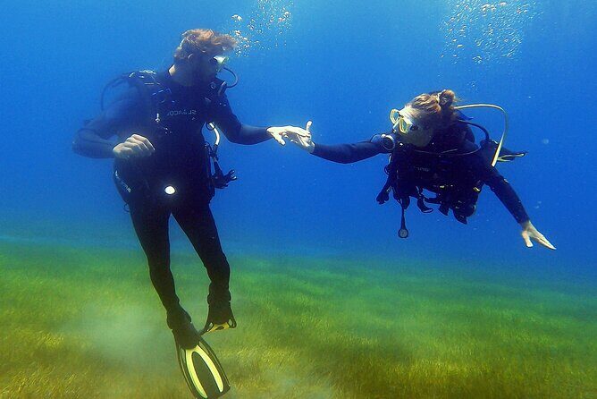 Tenerife Under The Sea - dive into 1-1 personalised experience - Why This Tour Stands Out