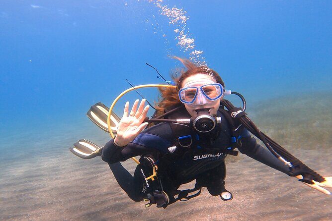 Tenerife Under The Sea - dive into 1-1 personalised experience - What Makes This Experience Practical & Valuable