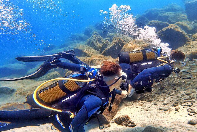 Tenerife Under The Sea - dive into 1-1 personalised experience - Final Thoughts: Is This the Right Choice?