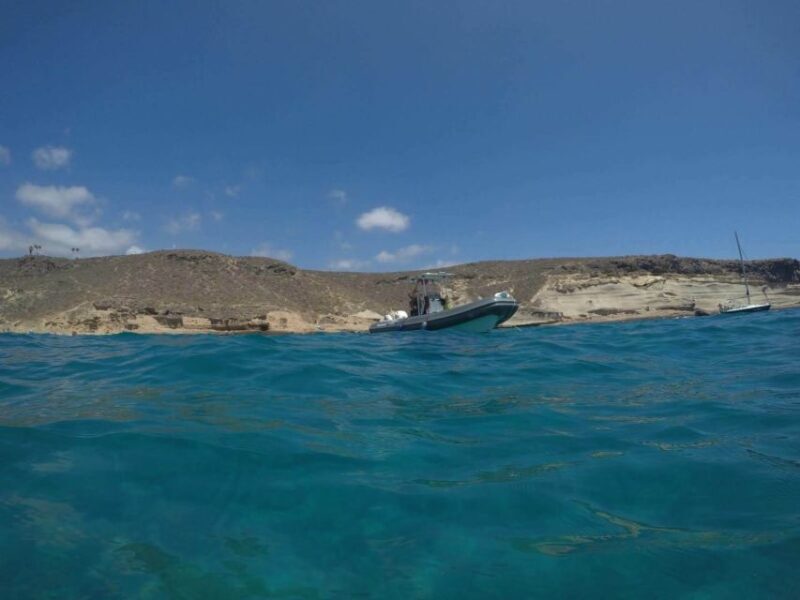 Tenerife: Underwater Lava Tongues Snorkel Excursion - Who Should Consider This Tour?