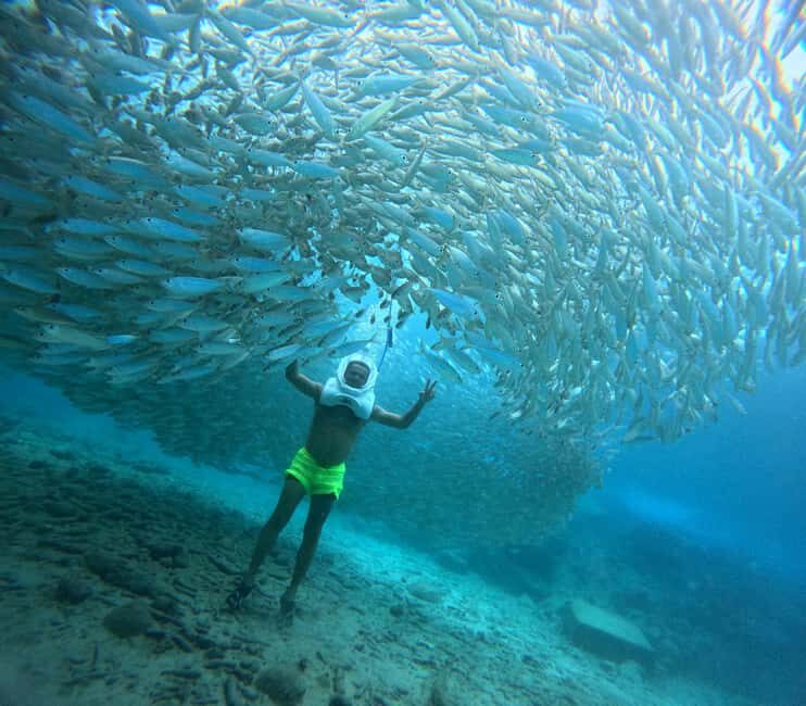 Tenerife: Underwater Walk - Sea Trek Experience - What Is the Sea Trek Underwater Walk?