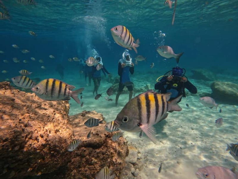 Tenerife: Underwater Walk - Sea Trek Experience - What’s Included and What’s Not