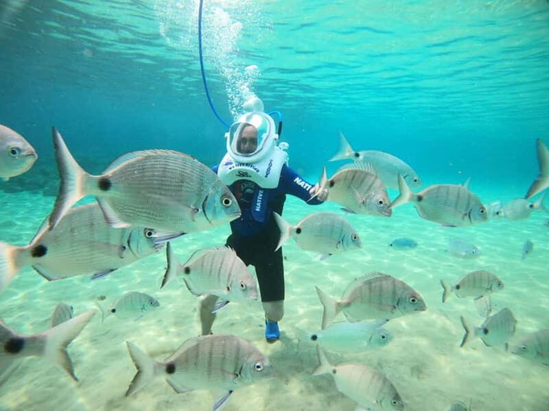 Tenerife: Underwater Walk - Sea Trek Experience - How to Prepare and Arrive