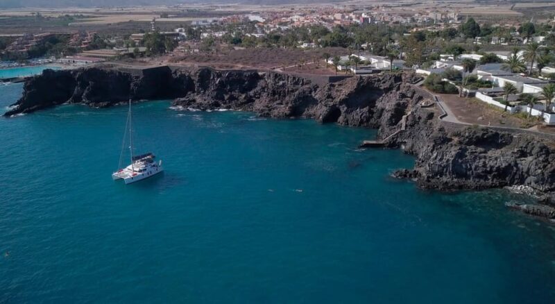 Tenerife: Whale and Dolphin Watching Boat Tour - Tenerife: Whale and Dolphin Watching Boat Tour – A Detailed Review