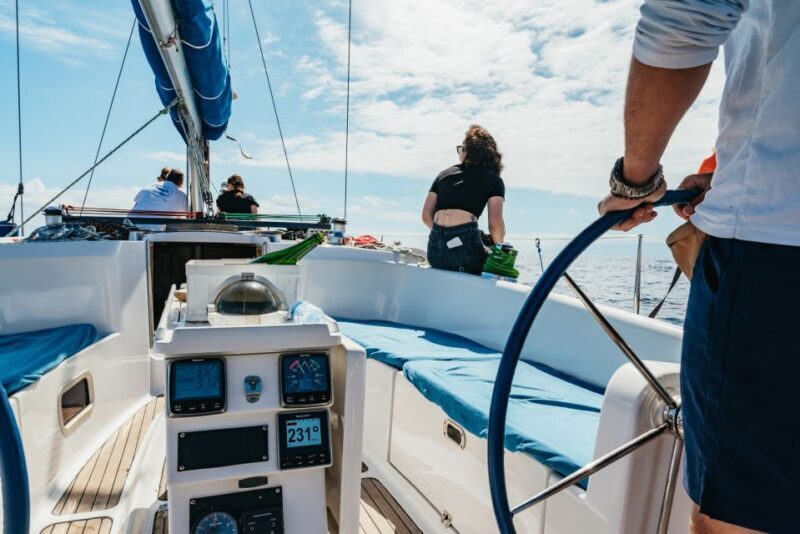 Tenerife: Whale & Dolphin Watching with Drinks and Snacks - Who Would Enjoy This Tour?