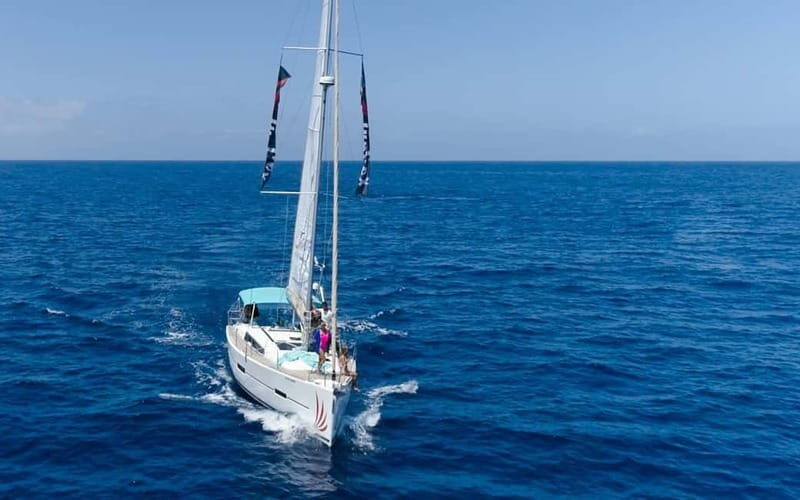Tenerife Whale Watching and Snorkeling Yacht Trip - Key Points