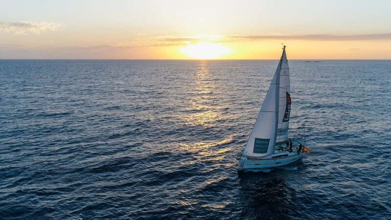 Tenerife Whale Watching and Snorkeling Yacht Trip - Who Is This Tour Best For?