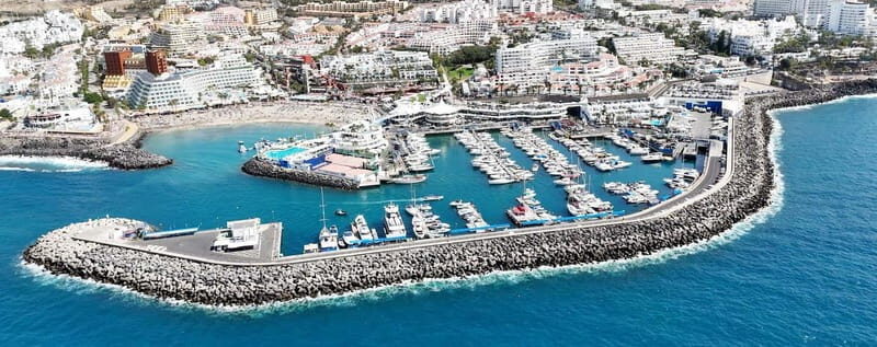 Tenerife Whale Watching and Snorkeling Yacht Trip - The Sum Up: Is It Worth It?
