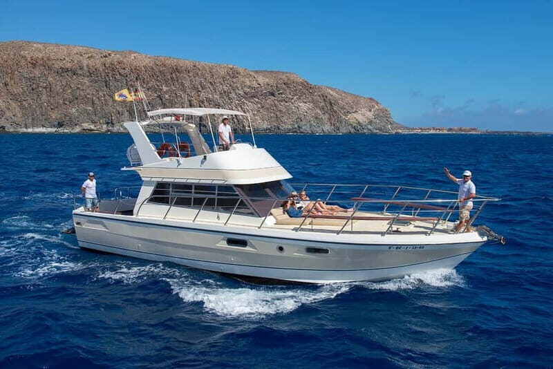 Tenerife: Whale watching tour with swim and lunch on yacht for 22 passengers - Key Points