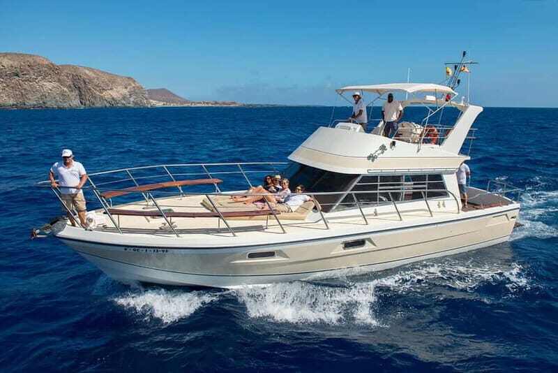 Tenerife: Whale watching tour with swim and lunch on yacht for 22 passengers - What Sets This Tour Apart