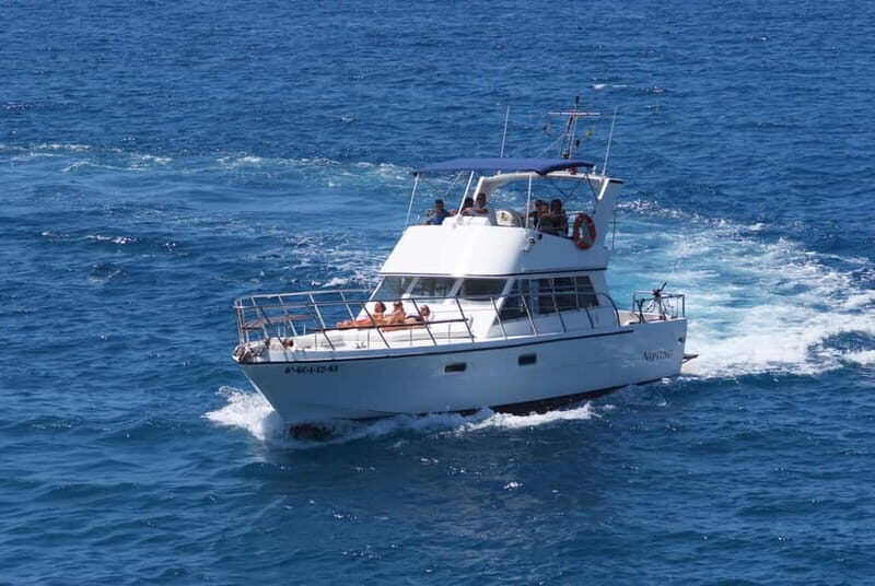 Tenerife: Whale watching tour with swim and lunch on yacht for 22 passengers - Who Should Join?