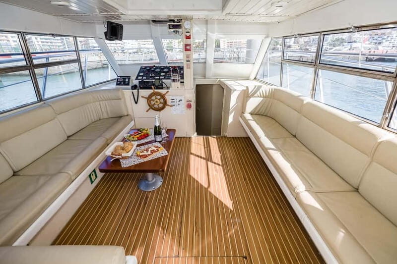 Tenerife: Whale watching tour with swim and lunch on yacht for 22 passengers - FAQs