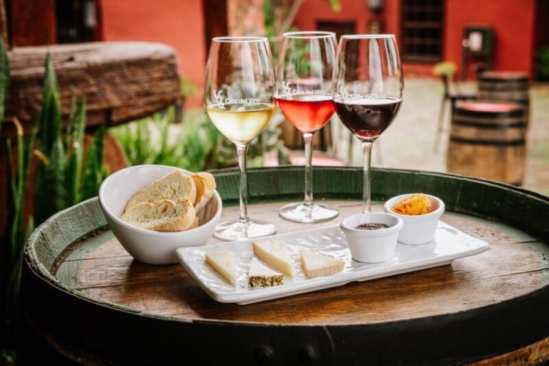 Tenerife: Wine Museum Ticket with Local Wines & Food Tasting - Tenerife: Wine Museum Ticket with Local Wines & Food Tasting — An Authentic Sip into Canary Island Flavors