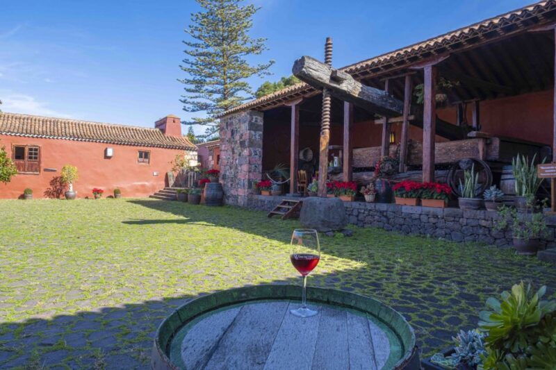 Tenerife: Wine Museum Ticket with Local Wines & Food Tasting - Who Will Love This Experience?