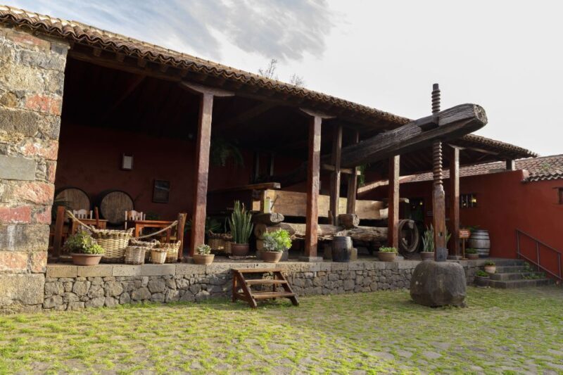 Tenerife: Wine Museum Ticket with Local Wines & Food Tasting - Practical Information