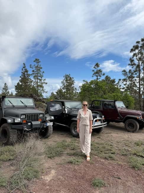 Tenerife: Wrangler Jeep tour to visit Los Gigantes and the south coast - Key Points