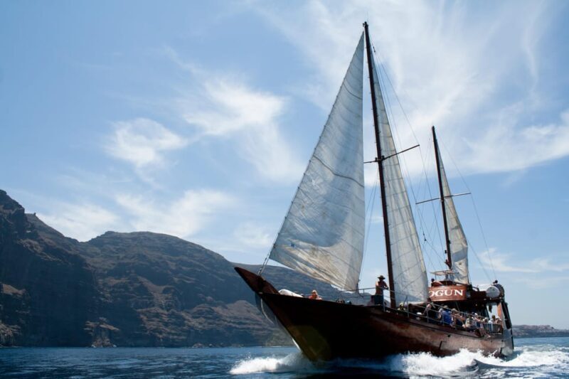 Tenerife:Respectful Whale Watching, Pirate Ship, & Swim - Final Thoughts