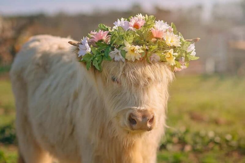 Tennessee: Cedar Pond Farms Floral Jewelry Workshop - Key Points