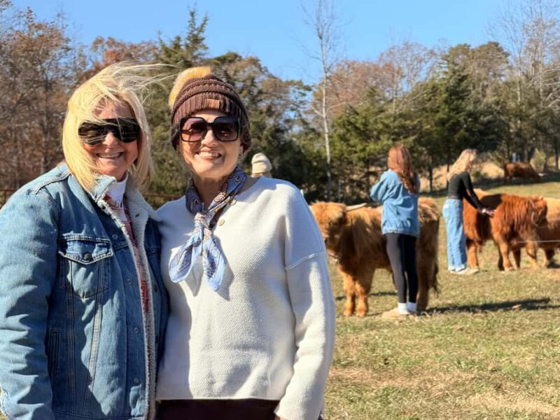 Tennessee: Fluffy Highland Cow Experience + Gelato & Coffee - Tennessee: Fluffy Highland Cow Experience + Gelato & Coffee — A Practical Review